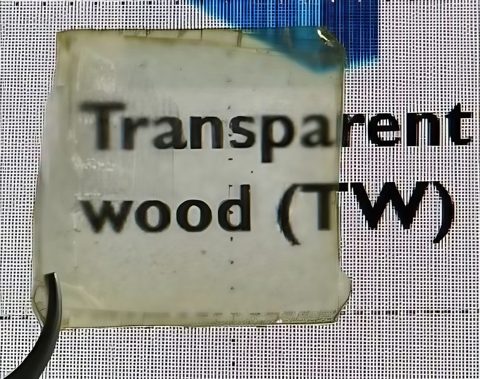 Invention of semi-transparent wood using a surprising technique! 🌳