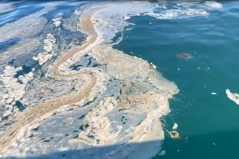 Stinking brown sludge in St Ives 'was not sewage'