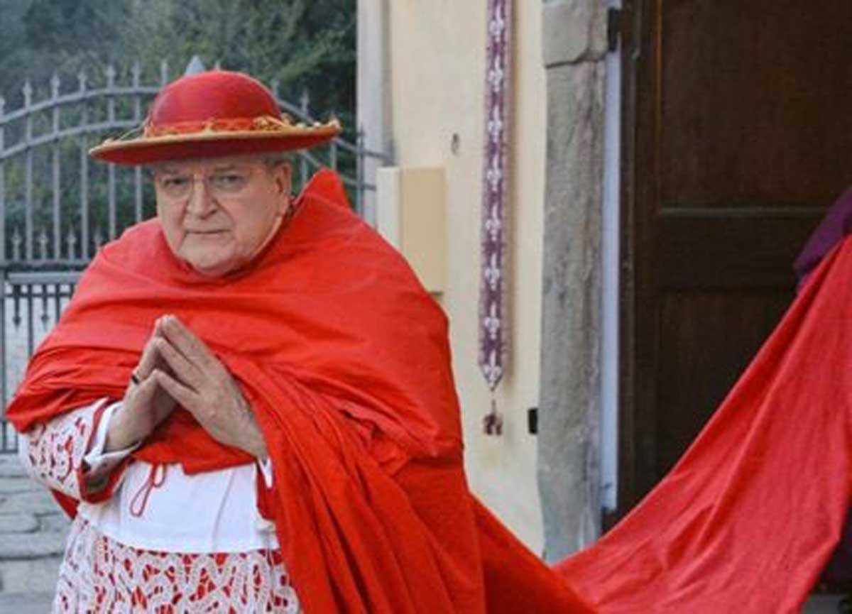 Verso il Conclave, sul web fa discutere la foto del cardinale Usa Burke ...
