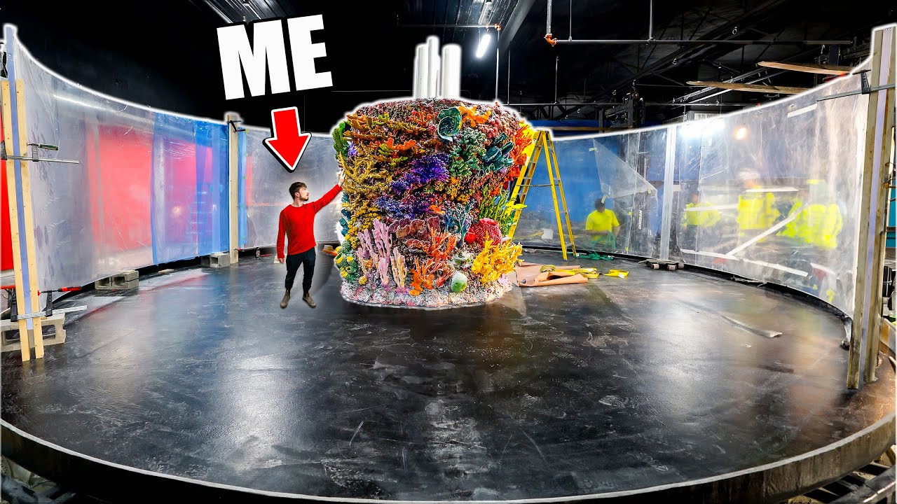 We’re Building a 100,000-Gallon Shark Tank