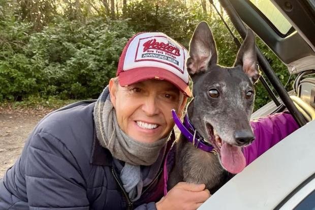 Internet trolls target man who rescued greyhound claiming dog's ...