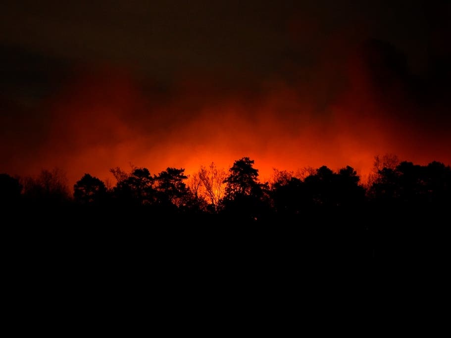 NJ Farm Evacuates Multiple Horses As Jones Road Wildfire Burns: Report