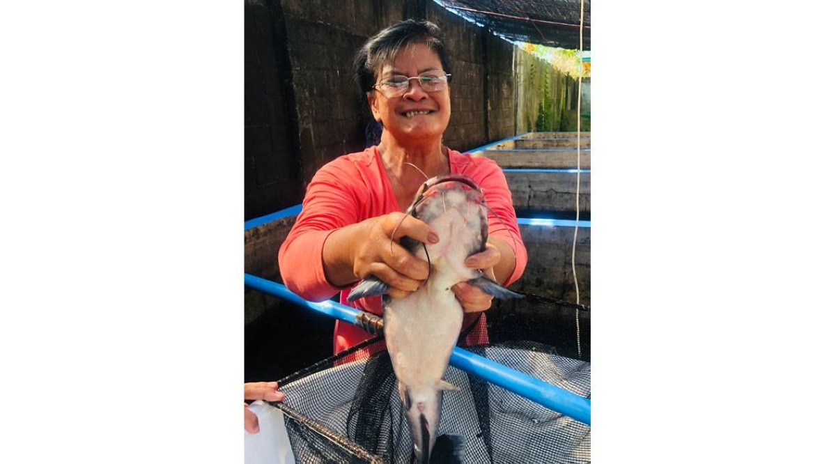 BFAR assists Bicol hog raisers shift to hito farming