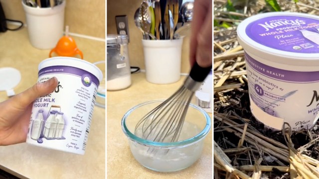 Gardener shares simple method for reusing old food containers: 'Works ...