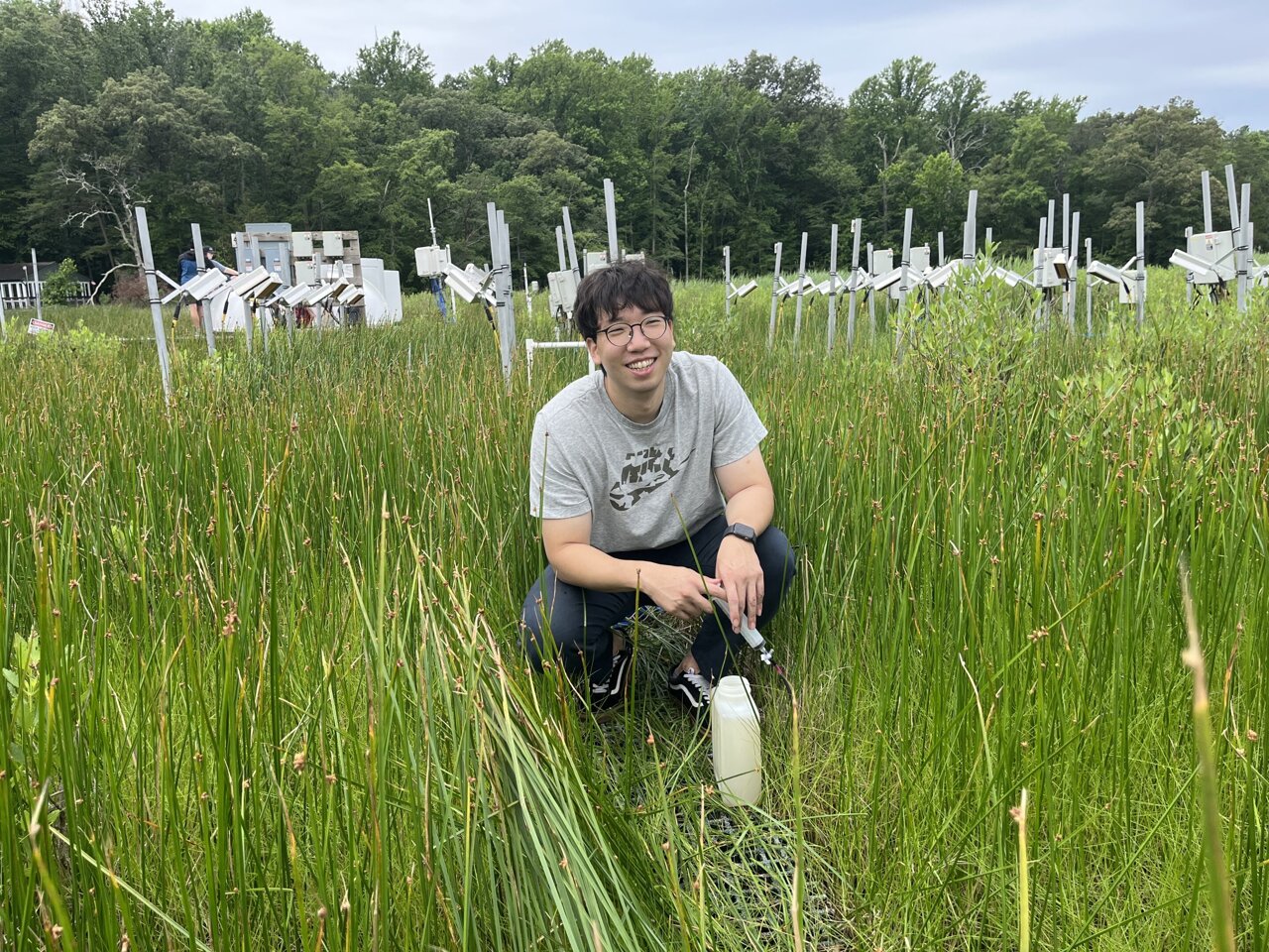 Hotter temps trigger wetlands to emit more methane as microbes struggle ...
