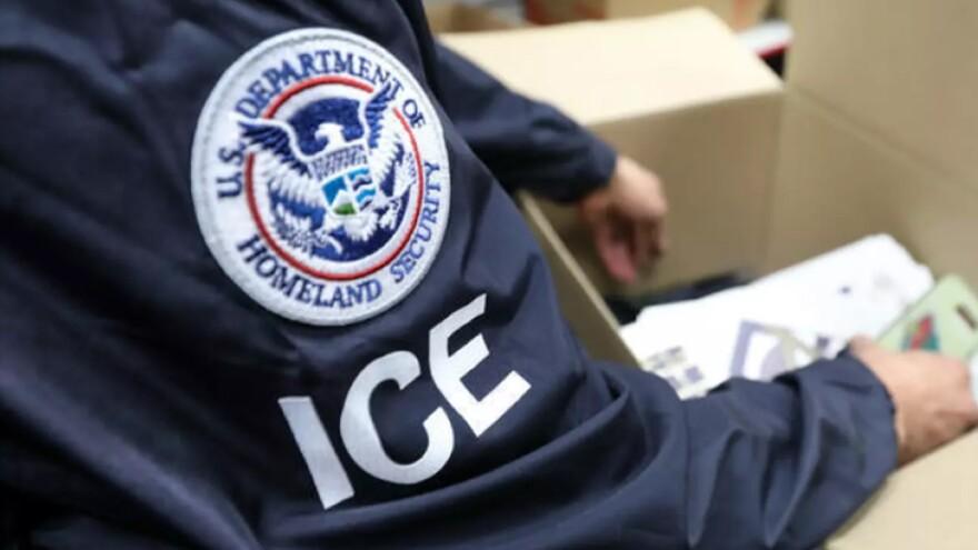 'Operation Tidal Wave' brings almost 800 arrests in immigration ...