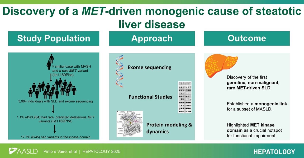 Inherited mutation linked to fatty liver disease