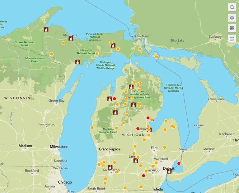Michigan DNR releases morel mushroom hunting map for 2025: Best spots ...