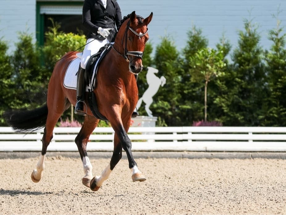 Here's What 2028 Olympic Games Will Take Place In South Orange County