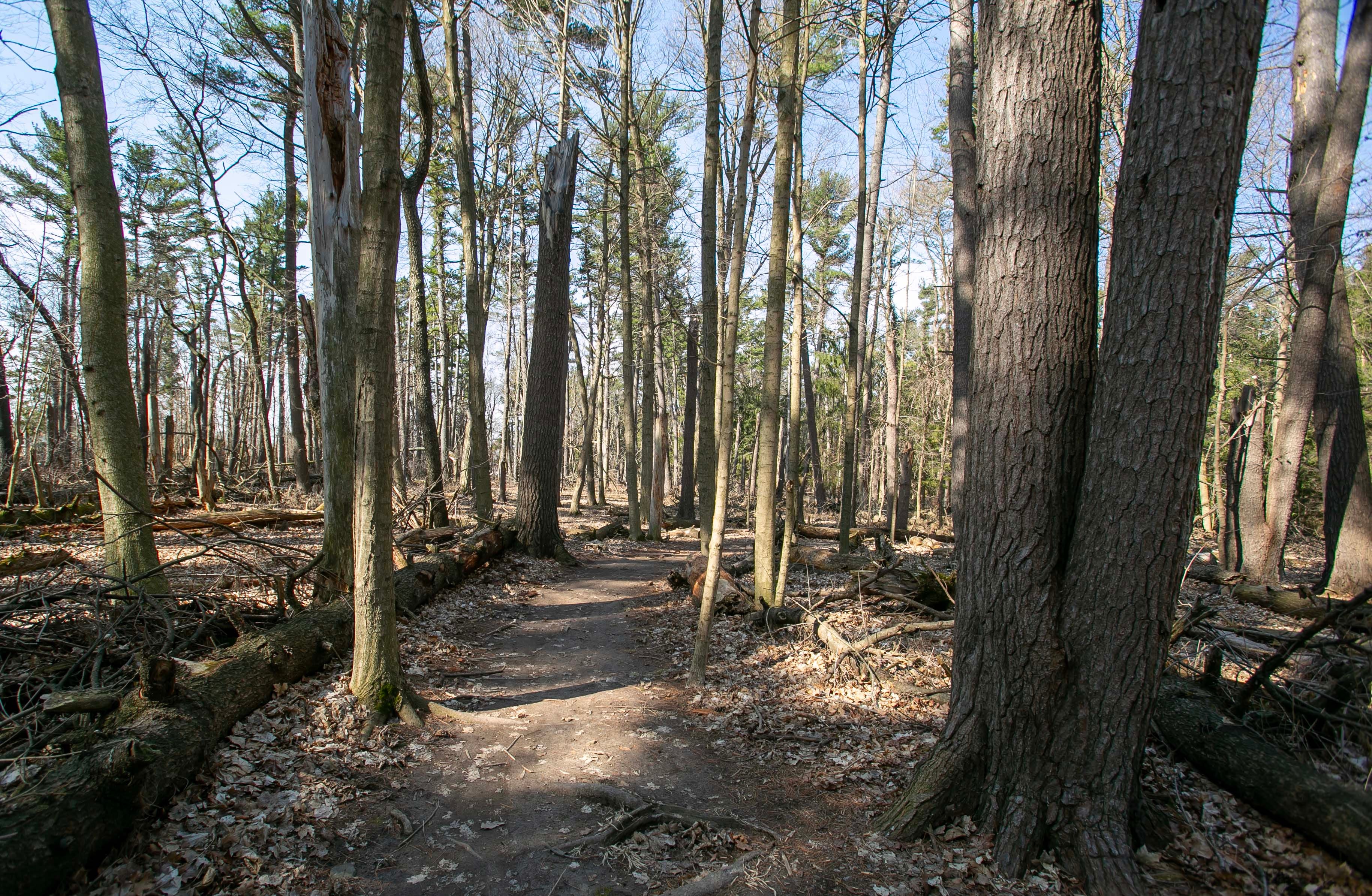 Sheboygan's Evergreen Park plan is still just a concept. Here are ...