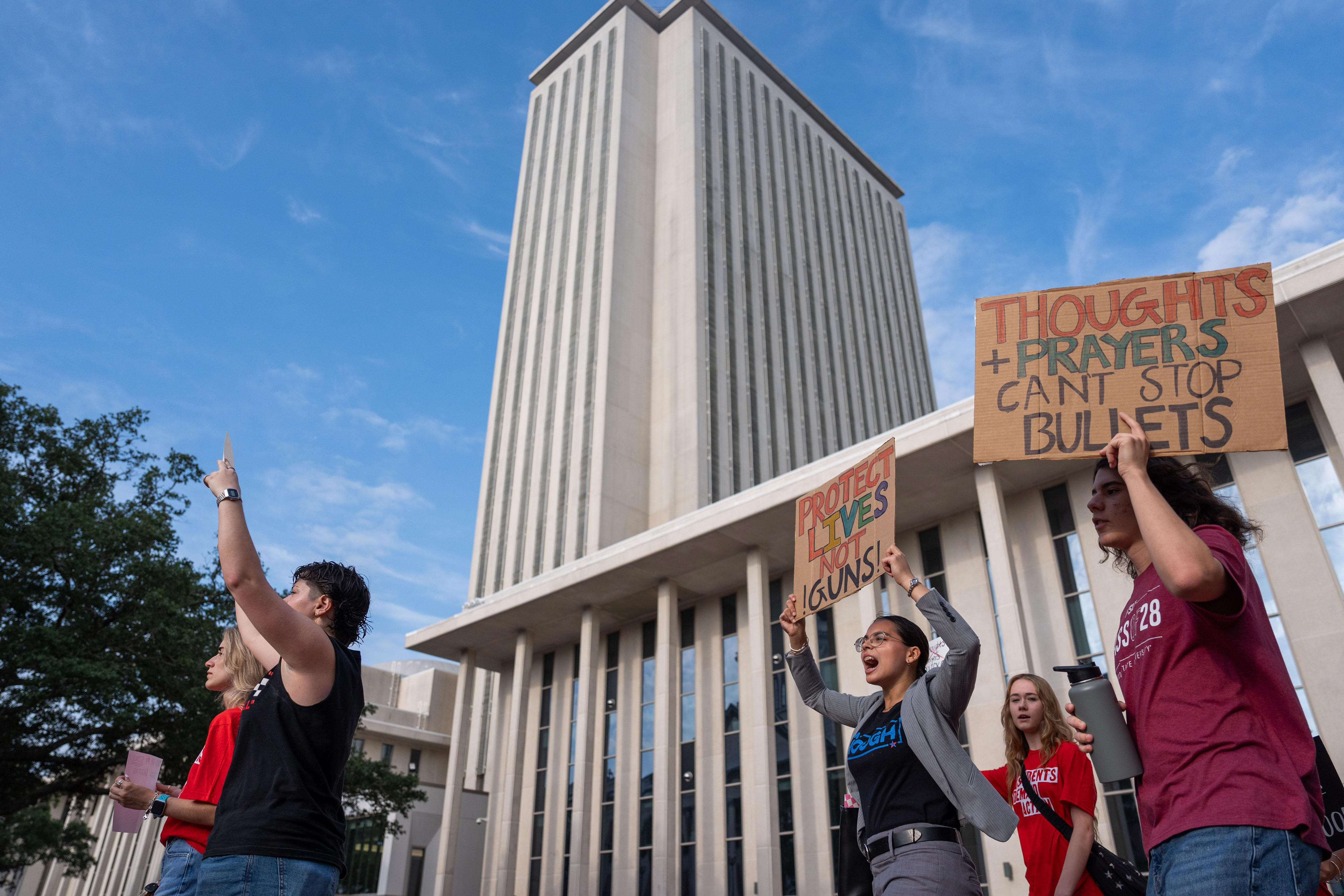 It's gun rights vs. public safety as 2026 Florida legislative session ...