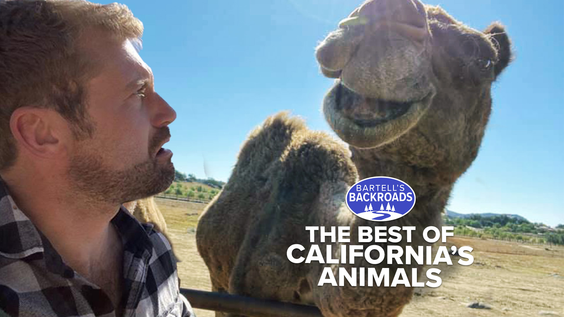 The Best of California's Animals: A Bartell's Backroads Adventure