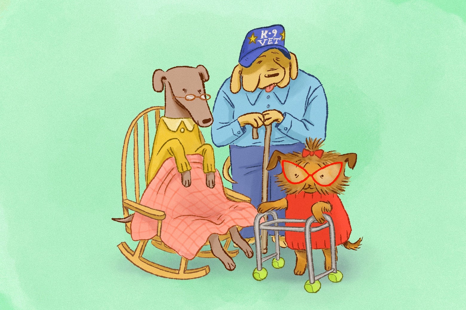 This Pill Promises to Give Your Dog More Years. You Might Not Like What ...