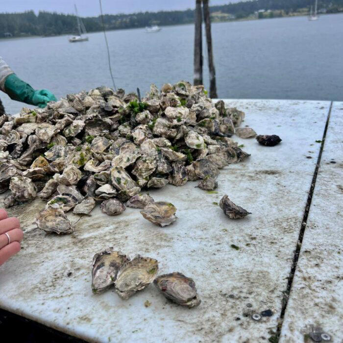 6 Great Places to Eat and Drink on San Juan Island