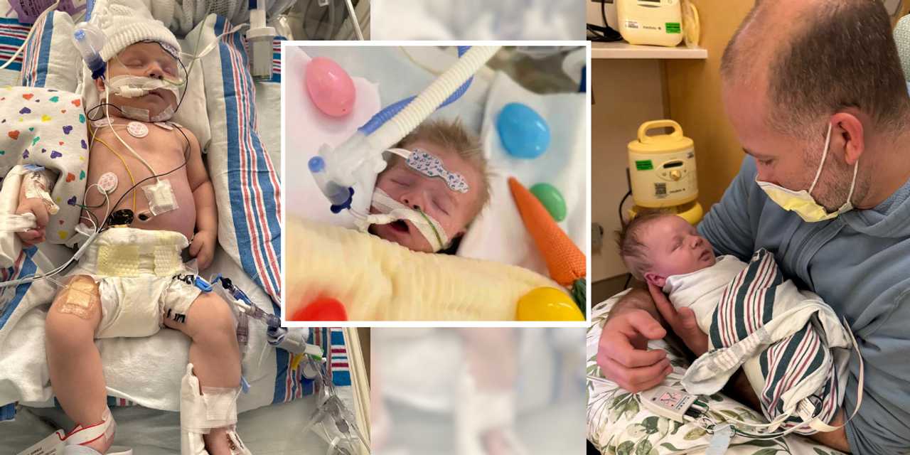 Botched Circumcision 'Nightmare' Nearly Killed Newborn, Claims NY ...