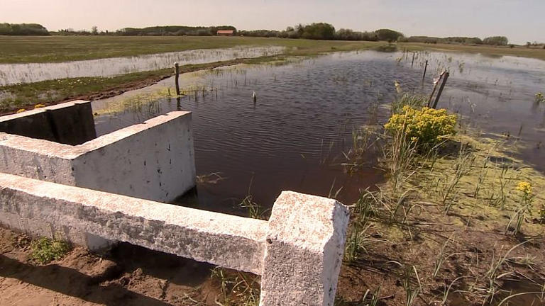 ICSE Class 12 Result 2025 Declared on cisce.org & results.cisce.org ...