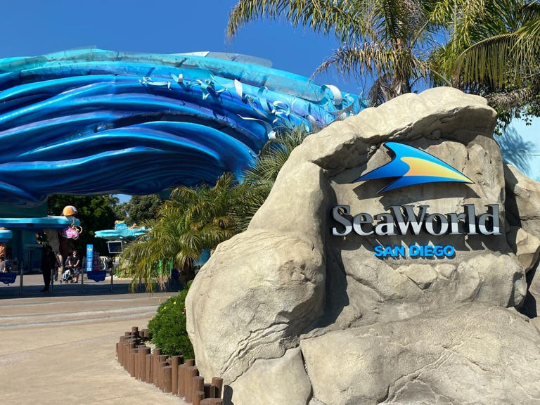 Veterans Get Free SeaWorld Tickets For Military Appreciation Month