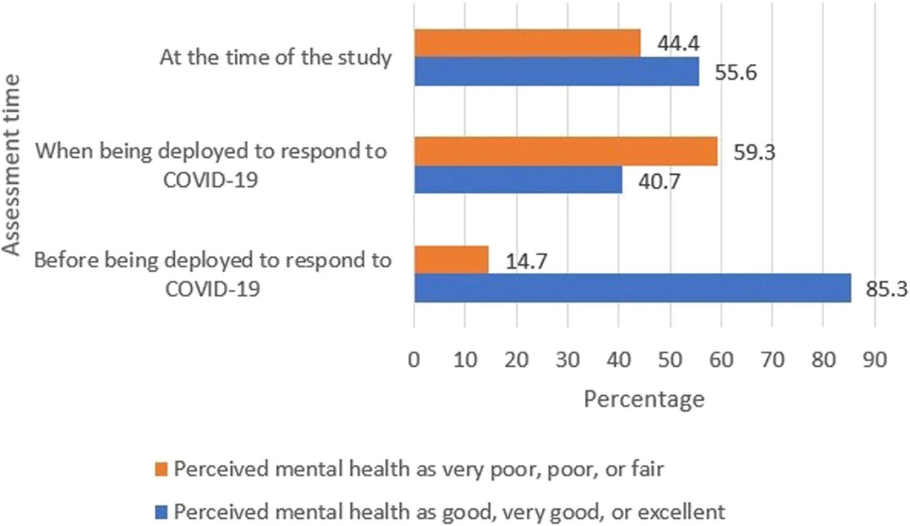Beyond the pandemic: The enduring psychological burden on frontline ...