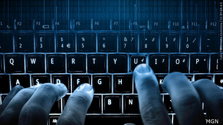 FBI releases 2024 cyber crime statistics for South Carolina