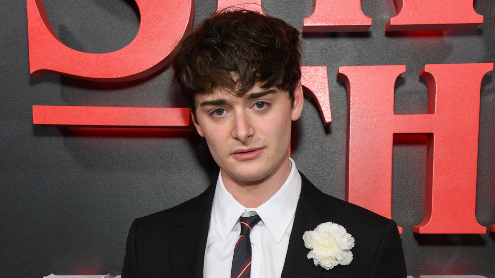 Noah Schnapp Reflects on Coming Out Before ‘Stranger Things' Season 5 ...