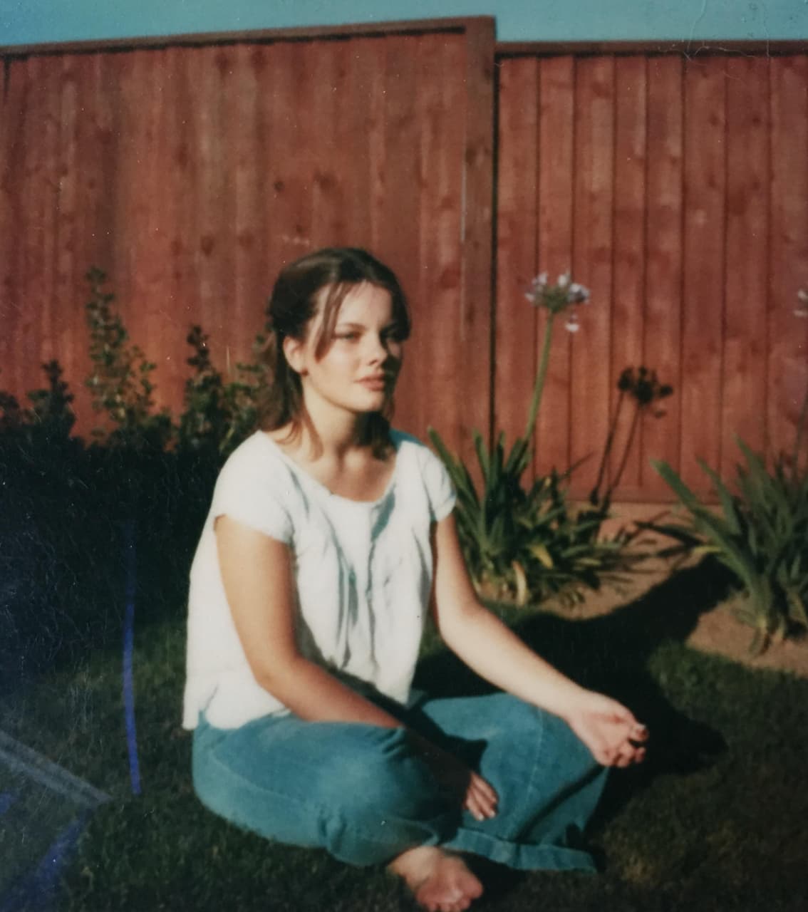 Wildlife in radiant red