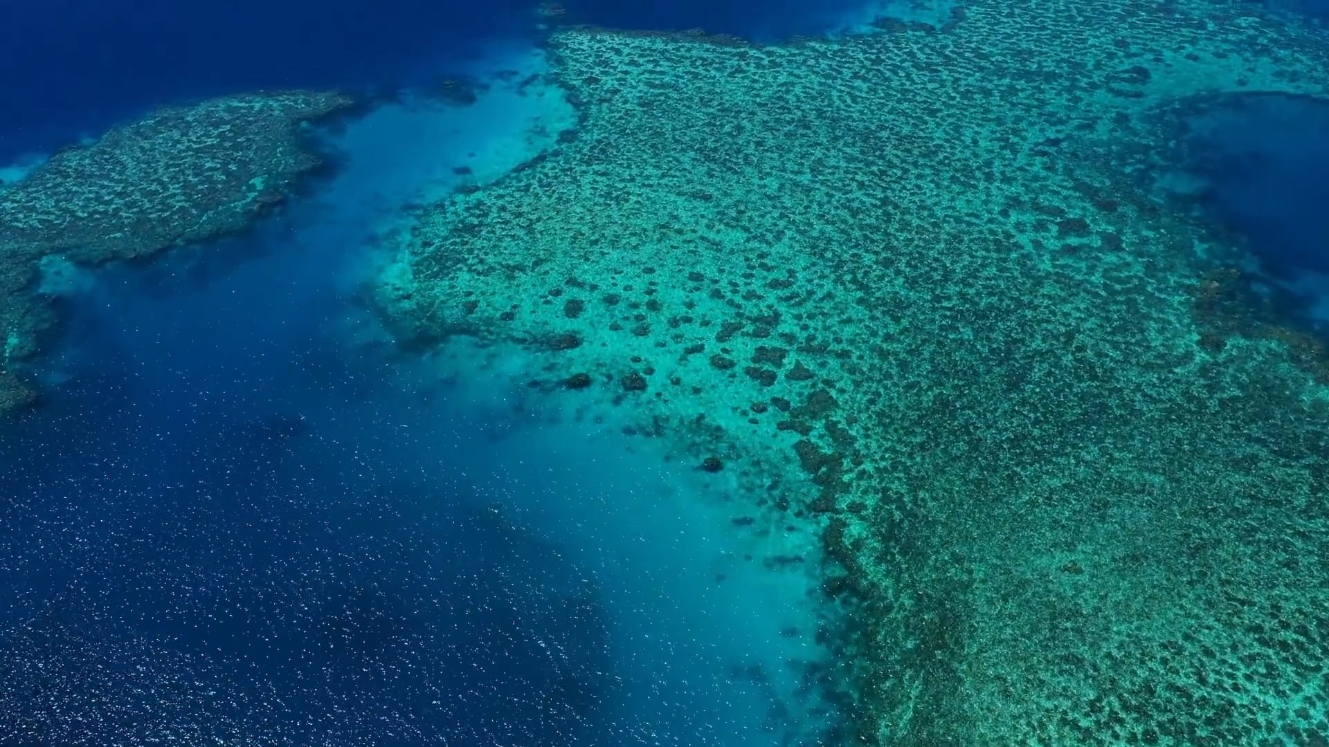 The Great Barrier Reef: Drones Uncover the Coral Kingdom