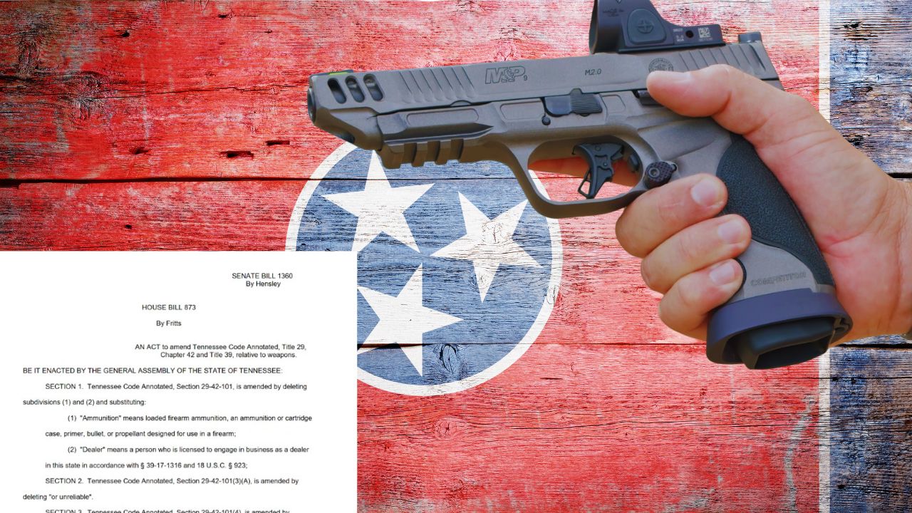 Tennessee Is One Signature Away From Becoming a Sanctuary State for Gun ...