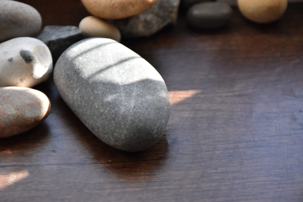 Why We Fell in Love With the World’s Most Useless Pet