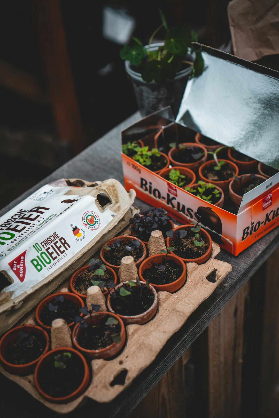 The Organic Panic: What the Labels Don’t Tell You The Organic Panic: What the Labels Don’t Tell You
