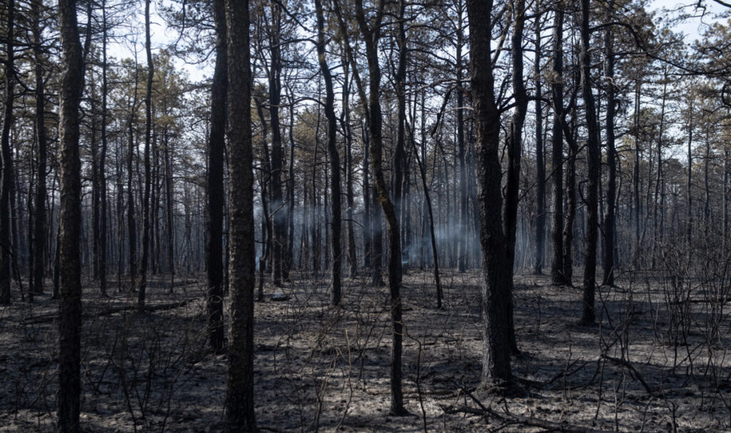 Massive Wildfire Breaks Out In New Jersey, Thousands Forced to Evacuate