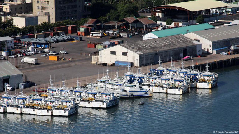 Pacto do Regime: Uma proposta de normalização da corrupção?