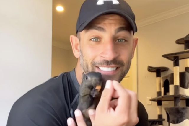 New Details Emerge About the Seizure and Death of Pet Influencer Peanut ...