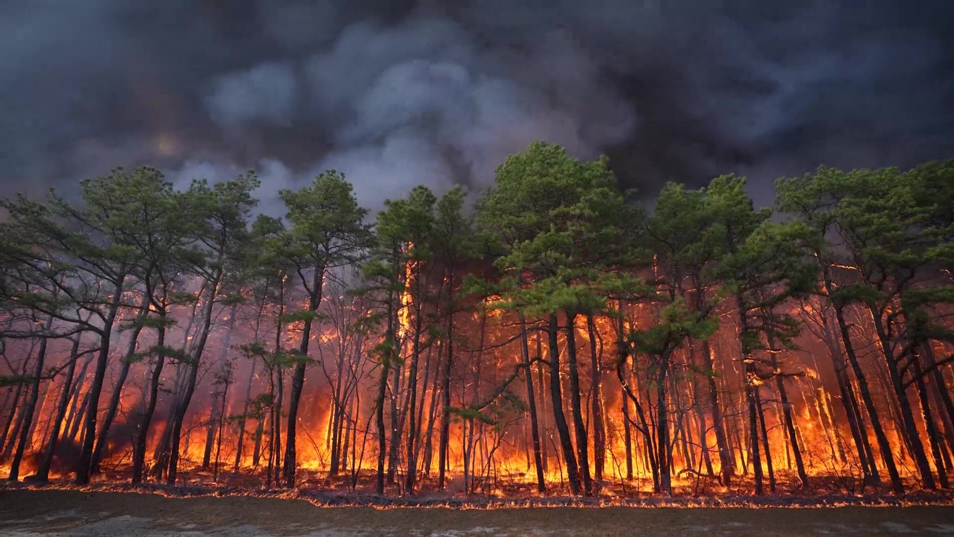 New Jersey wildfire: Dramatic videos, photos reveal fearsome nature of ...