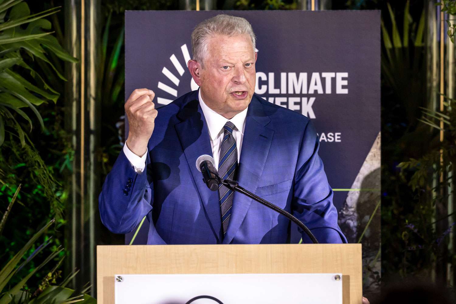 Al Gore Attacks Trump in Fiery Speech, Says He Sees Parallels to Early ...