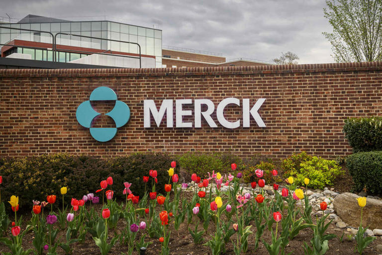 Merck Lowers Earnings Guidance and Says Tariffs Will Hit Margins