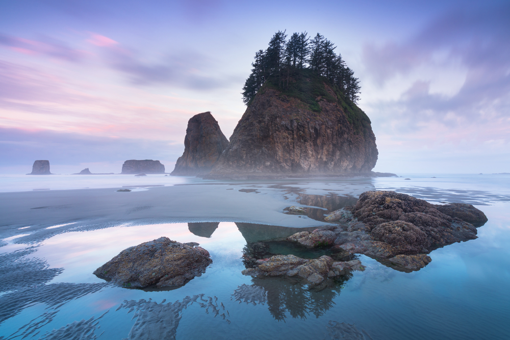 Drift Logs, Tide Pools, and Sea Stacks Meet Crashing Waves at This ...