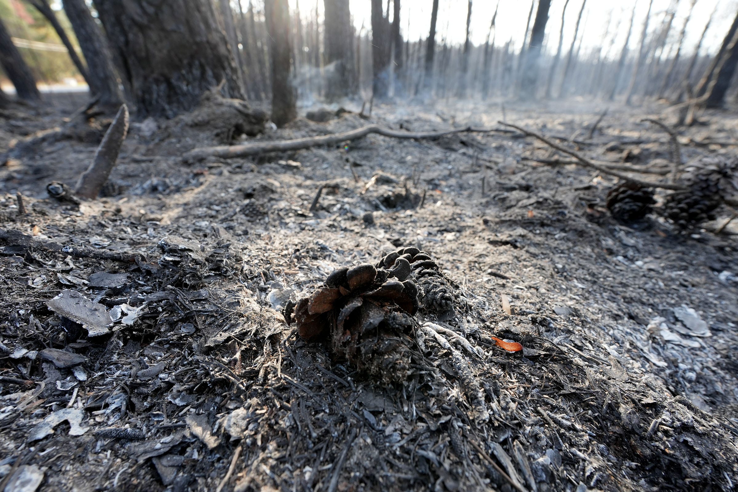 NJ fire updates: Ocean Township man charged with arson in Jones Road ...