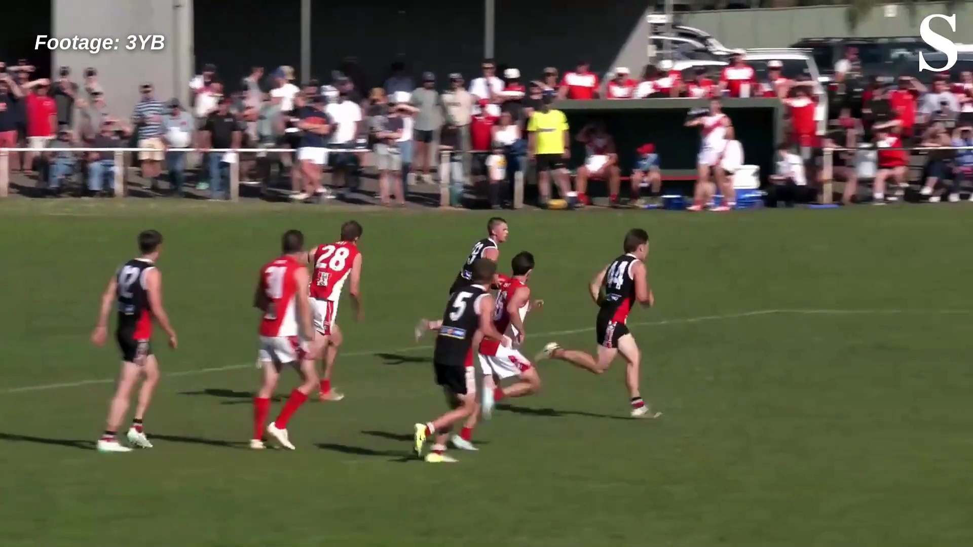 HFNL: Koroit's Sam Dobson in fighting form