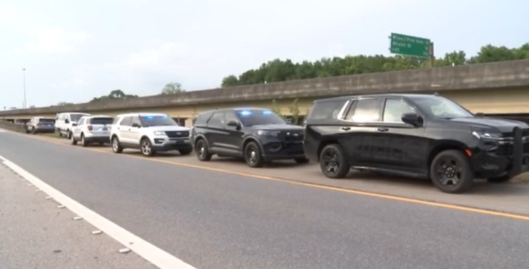 UPDATE: Skeletal remains found in Prichard, police say