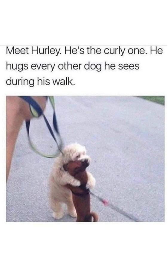 25 Amazing Posts That Felt Like A Digital Hug Today (April 23, 2025)