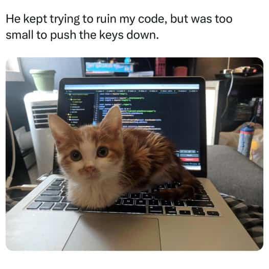 25 Amazing Posts That Felt Like A Digital Hug Today (April 23, 2025)