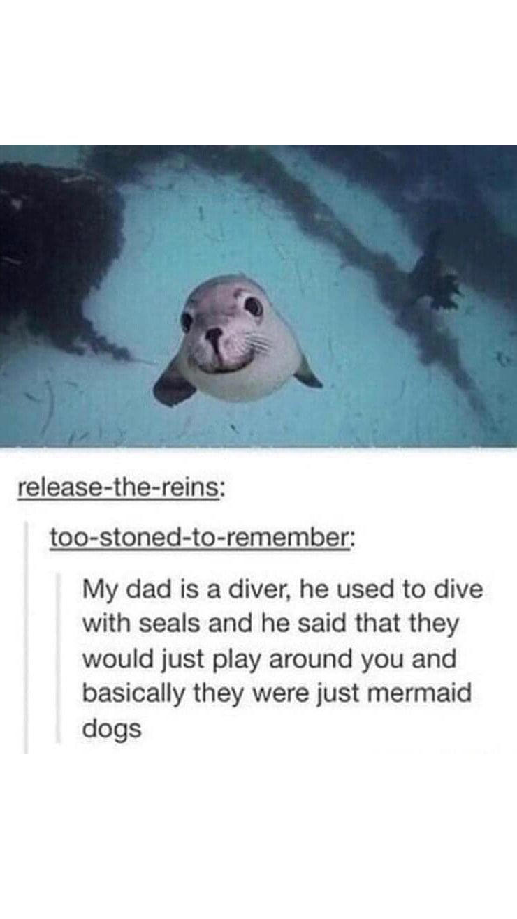 25 Amazing Posts That Felt Like A Digital Hug Today (April 23, 2025)