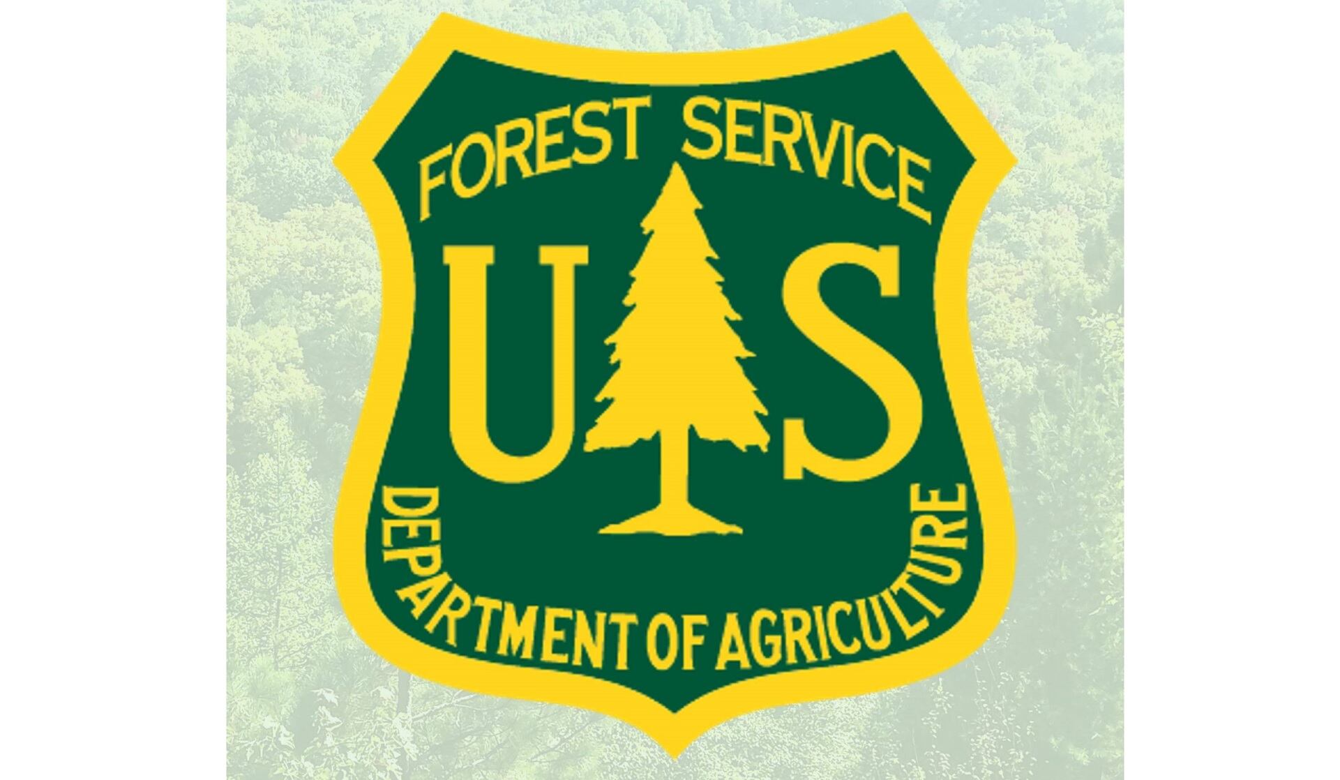 Former U.S. Forest Service member says federal cuts could impact safe ...