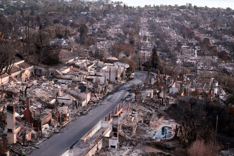 After-action report on Palisades Fire to be held as federal ...