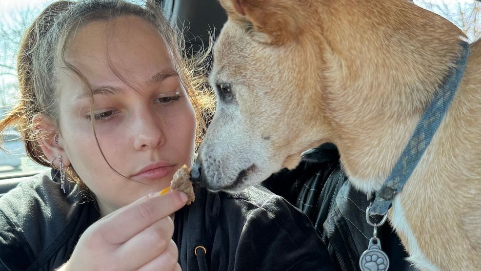 Parents of slain Chico State student plan Redding dog park upgrades in ...