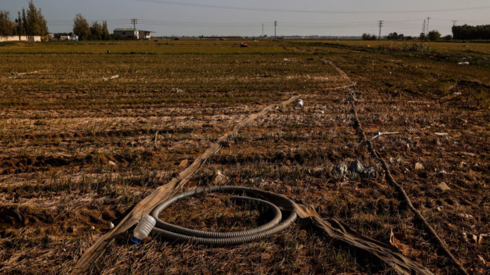 13 Absurdly Random, Weird, And Interesting Facts That I Refuse To ...