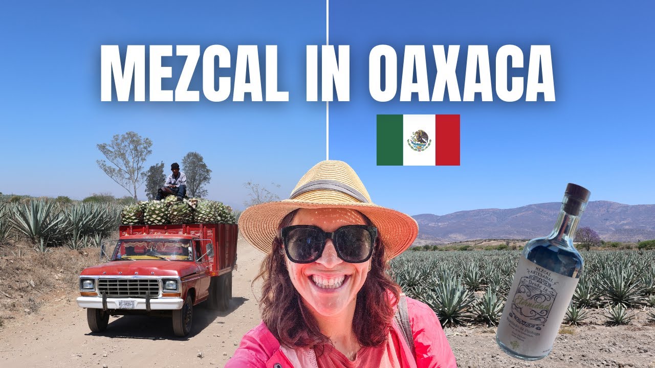 How to Make Artisan Mezcal in Oaxaca with Chicken! 🐓