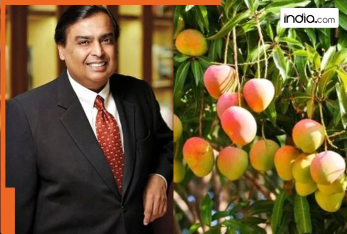 India growing Mangoes for 4000 Years, still lagging behind! can Mukesh ...