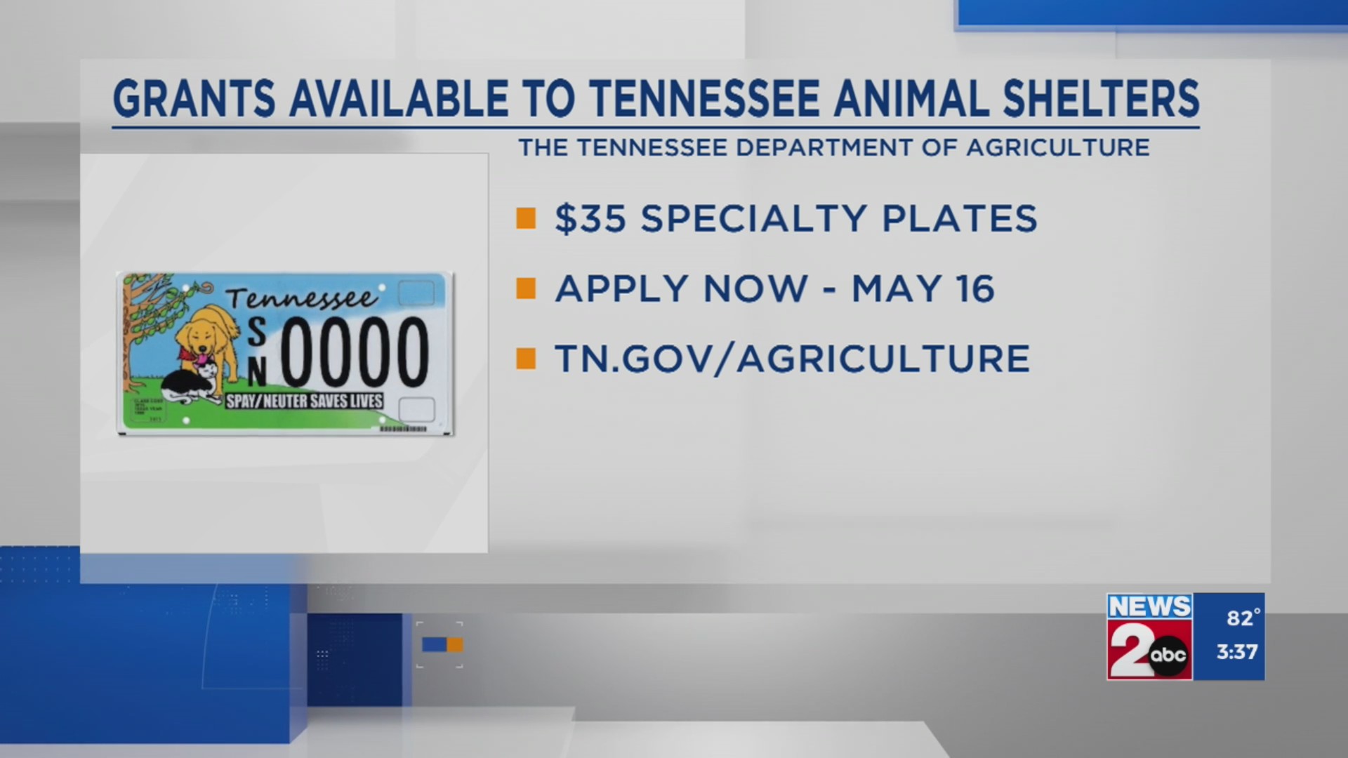 Grants available to Tennessee animal shelters