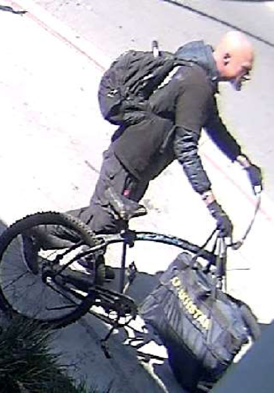 Police arrest man suspected of hacking downtown LA trees with a chainsaw